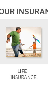 Whole Life Plus Insurance 🚘 Oct 2025